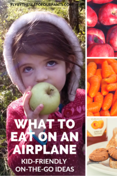 What to Eat on an Airplane | Food Kids will Eat On-The-Go