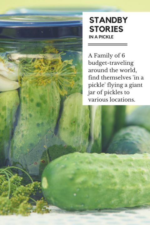 Standby Stories in a Pickle | Flying Pickles Around the World
