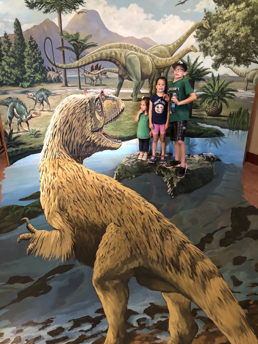 Colorado Springs with Kids | Family Fun 5-Day Itinerary