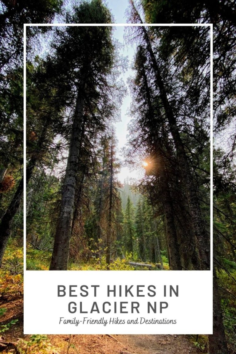 The Best Family-Friendly Hikes in Glacier National Park