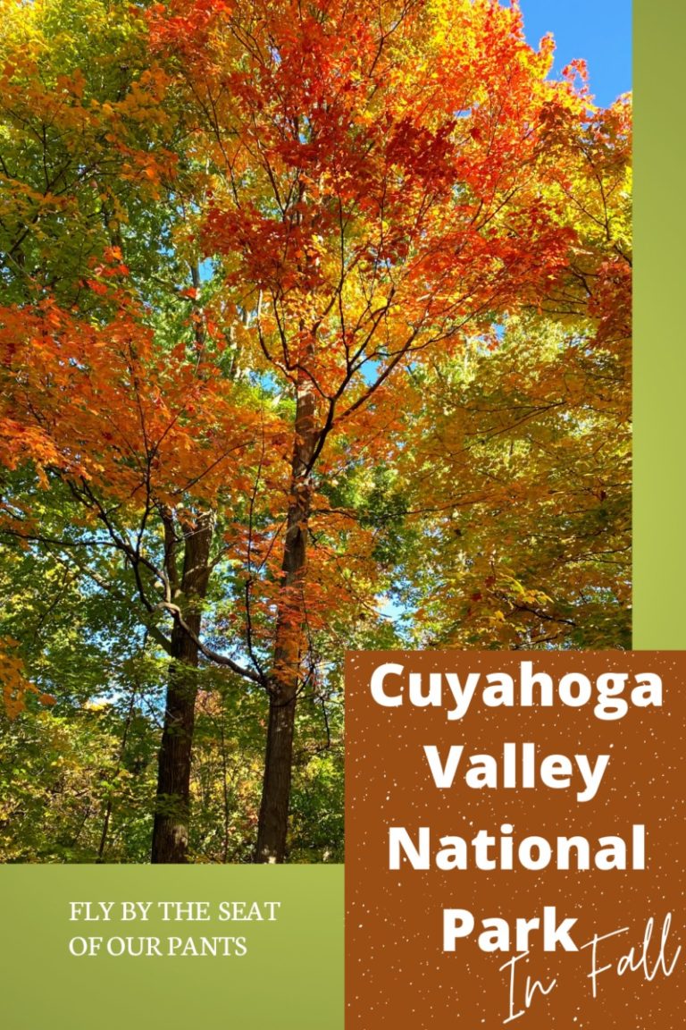 The Best of Cuyahoga Valley National Park with Kids